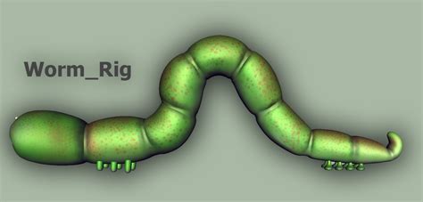 Wormrig For Maya Free Character Rigs Downloads For Maya