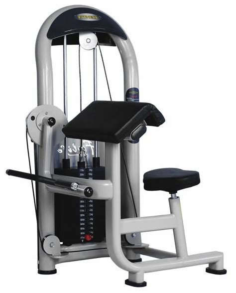 Biceps Curl Machine At Best Price In Jalandhar By Philips International ID