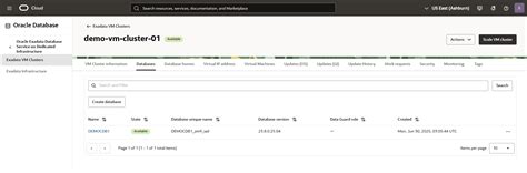 exadata database