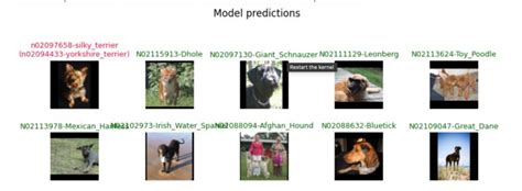 Scott Holden On Linkedin Transfer Learning With Tensorflow On Intel