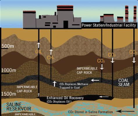 3 CCS And Oil Exploration Download Scientific Diagram