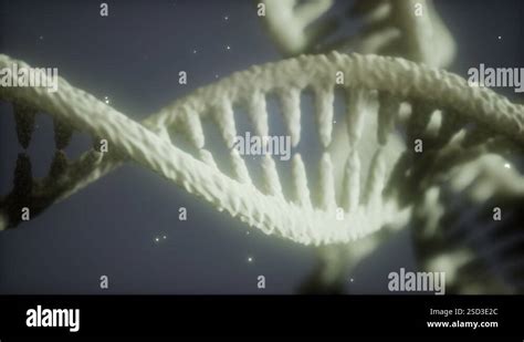 Double Helical Structure Of Dna Strand Close Up Animation Stock Video