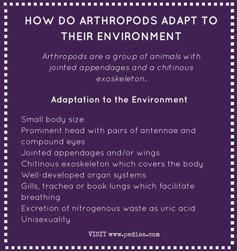 How Do Arthropods Adapt To Their Environment Pediaacom