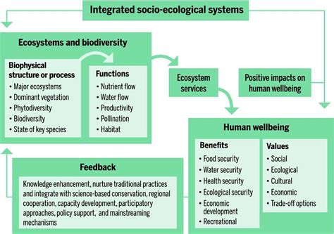 Unlocking The Secrets Of Relationships And Biodiversity Lab Answer Key Revealed