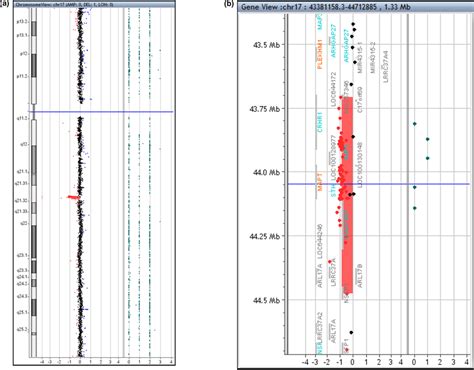 Array Cgh Analysis Demonstrating The 17q21 31 Microdeletion That Spans Download Scientific