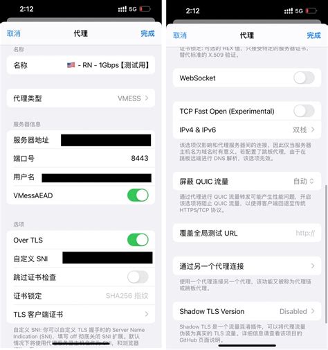 搭建 vmess websocket tls 节点并通过 nginx 进行伪装分流 森见鹿的博客