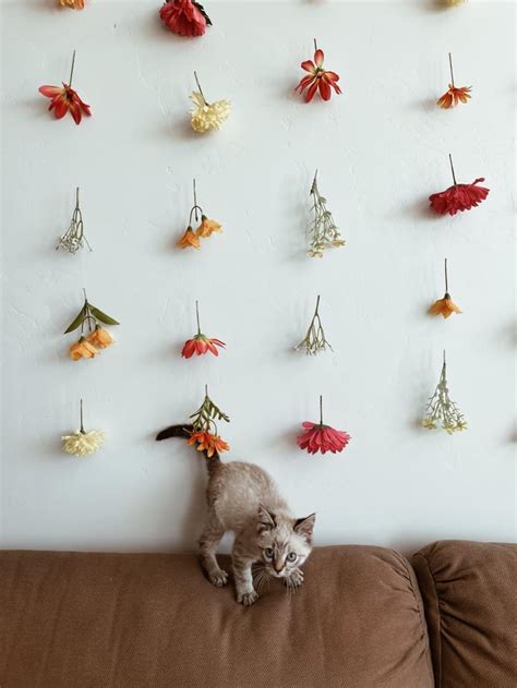 New Porn Star Lexi Sample In Sexy Lingerie Rlexisample