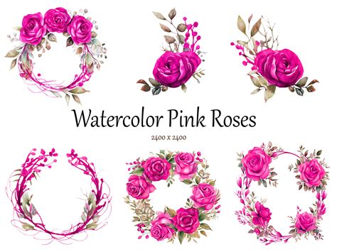 Watercolor Pink Roses Clipart Graphic By Bonadesigns · Creative Fabrica