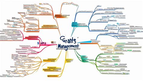 Sap Allows Organizations To Manage Both The Granting Grantor And Receiving Grantee Sides Of
