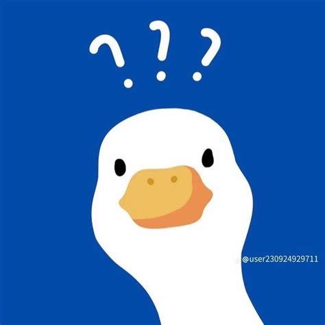 今天去outlet 逛逛 買了一雙球鞋，正在排隊付錢的時候 有個阿姨👩🏻‍🦱問我：你只買一雙嗎？ 我🦆：對啊。 👩🏻‍🦱：我買兩雙，要不要跟我