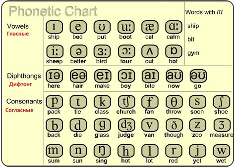 Английские звуки