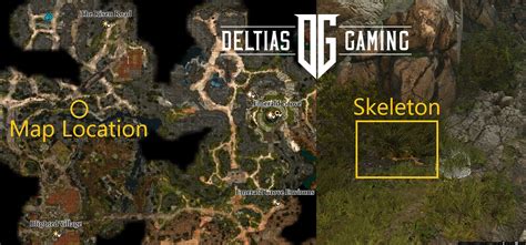 How To Get Smugglers Ring In Baldurs Gate 3 Bg3 Deltias Gaming