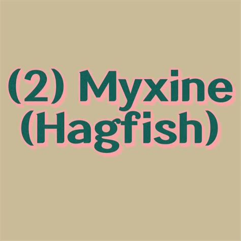 Class Cyclostomata Ncert Examples Youtube Class Cyclostomata Ncert Examples Youtube