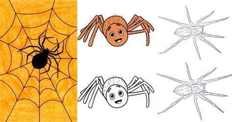 How To Draw A Realistic Spider