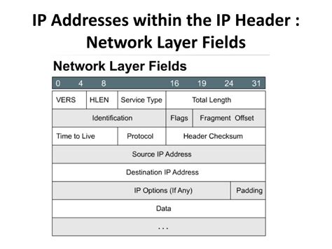 PPT Network Layer PowerPoint Presentation Free Download ID
