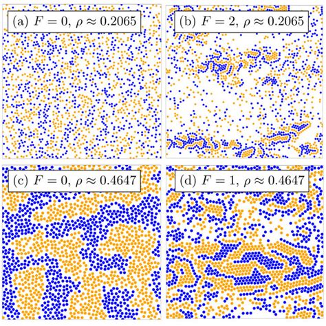 a binary colloidal mixture in two dimensions simulated for 10⁸ time