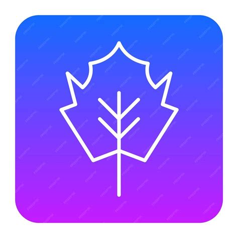 Premium Vector Maple Leaf Vector Illustration