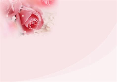 玫瑰花底纹背景图片 站长素材