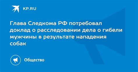 Глава Следкома РФ потребовал доклад о расследовании дела о гибели мужчины в результате нападения