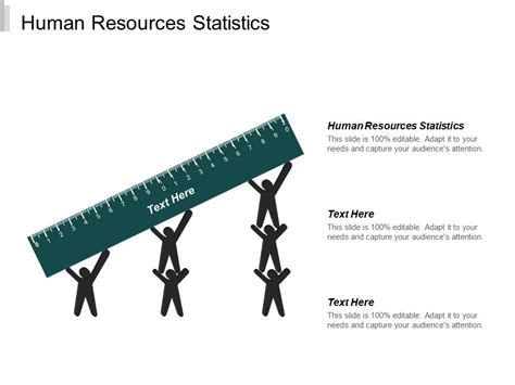 Human Resources Statistics Ppt Powerpoint Presentation Pictures Gallery Cpb