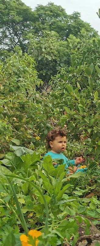 Leila Alexandra On Forage Gardening Local Food Connect