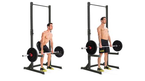 Rack Pull Exercise Guide How To Master Rack Pulls Pnswg