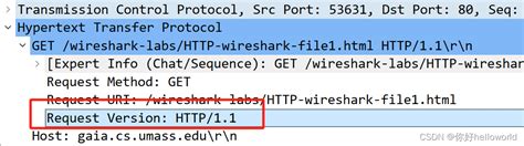 《计算机网络 自顶向下》wireshark实验 第二章：wiresharkhtml文档 Csdn博客