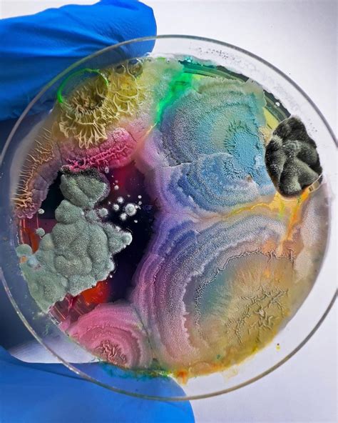 Bacterial Super Art Artofit