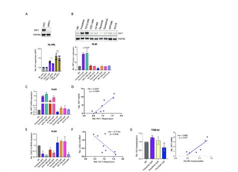 Modulation Of Irf7 Expression Correlates With Latency Reversal