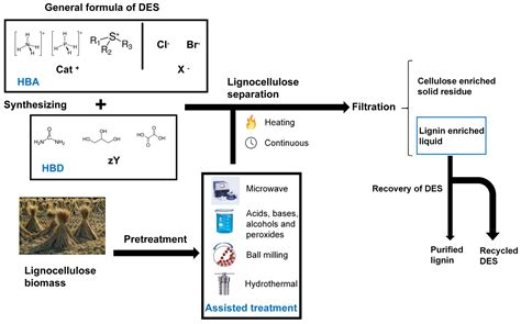 Applied Sciences Free Full Text Deep Eutectic Solvent Pretreatment And Green Separation Of