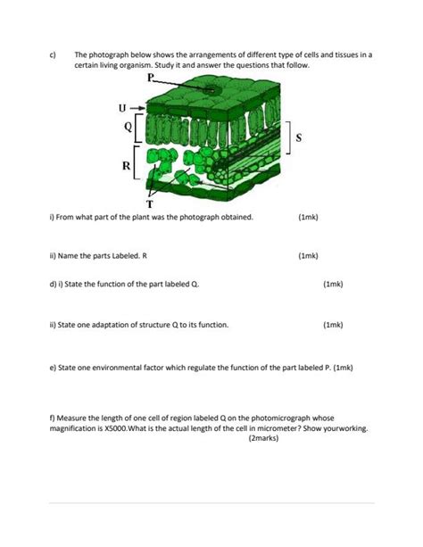 Form 3 Biology Paper 3 End Of Term 3 Examination 2023 1840