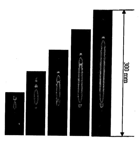Solidification Process Control Method Using Small External Temperature Gradient To Eliminate
