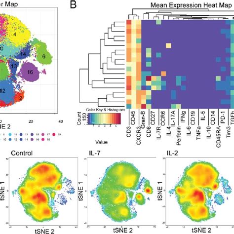 Monocyte Enrichment From Pbmcs And Differentiation Into Dendritic