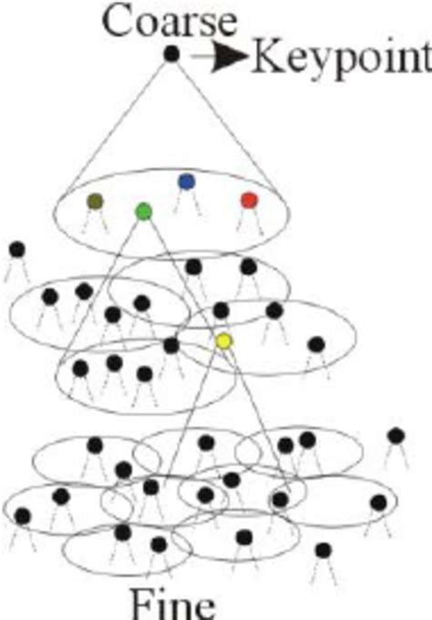hierarchical scale structure see text download scientific diagram