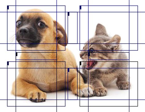 13 3 Multiscale Object Detection — Dive Into Deep Learning 0 1 0 Documentation