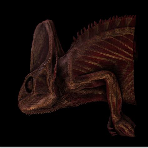 Volume Rendering Cg Universität Siegen