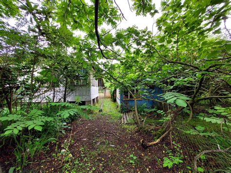 გრიგოლეთი 💙