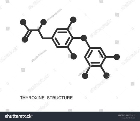Thyroxine Chemical Molecular Structure Major Endogenous Stock Vector