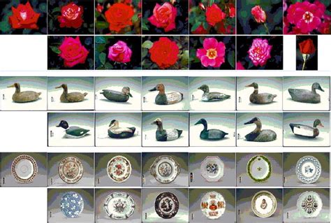 Some Instances Of Image Retrieval By The Presented Technique On