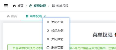 如果在tab添加右键菜单这个可以实现吗 Issue HalseySpicy Geeker Admin GitHub