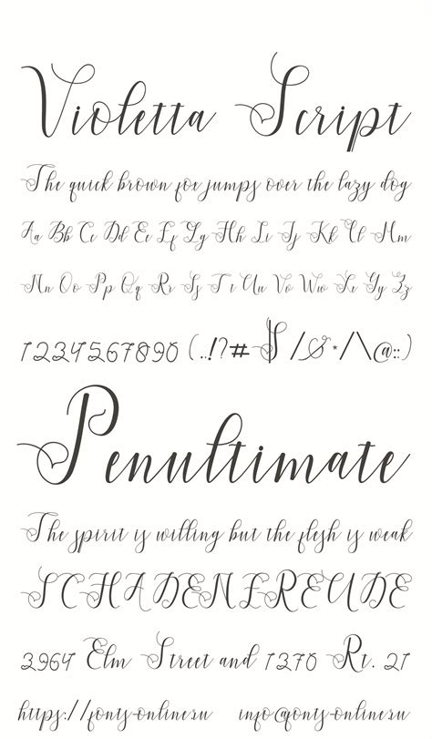 Violetta Script Font