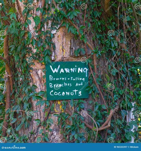 Warning Sign Falling Coconuts Stock Image Image Of Outside Coconut
