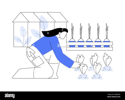 Growing Vegetables Abstract Concept Vector Illustration Stock Vector Image And Art Alamy