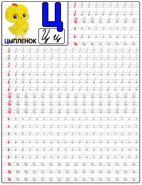 Прописи для детей с буквой Ц Alfabet Kalligrafie