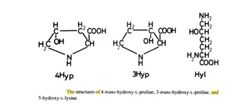 Hydroxyproline Structure