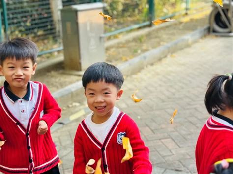 课程故事我和秋天比个叶 无锡市梁溪区广益幼儿园