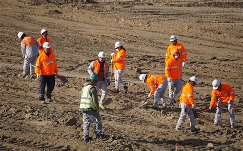 Платинум Ланд ХХК Хариуцлагатай уул уурхай нөхөн сэргээлт МЭДЭЭ МЭДЭЭЛЭЛ