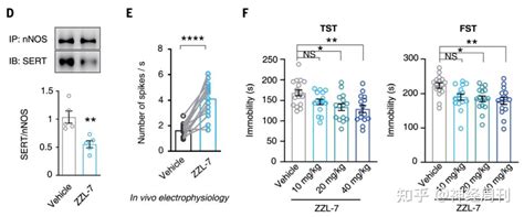 重磅突破！抗抑郁药物或迎来革新，南京医科大学团队开发新型抗抑郁药物化合物 知乎