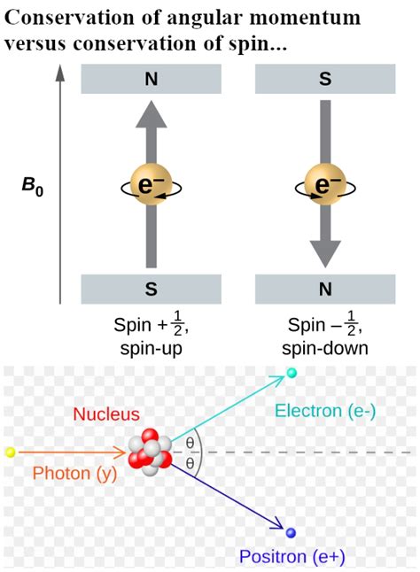 On Electron Spin And The Conservation Laws For Total Spin And Angular Momentum 3dcomplexnumbers