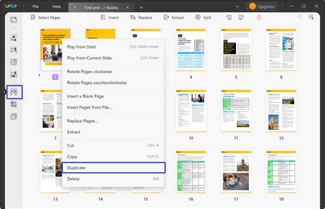 A Guide To Duplicate PDF Pages Online And Offline UPDF